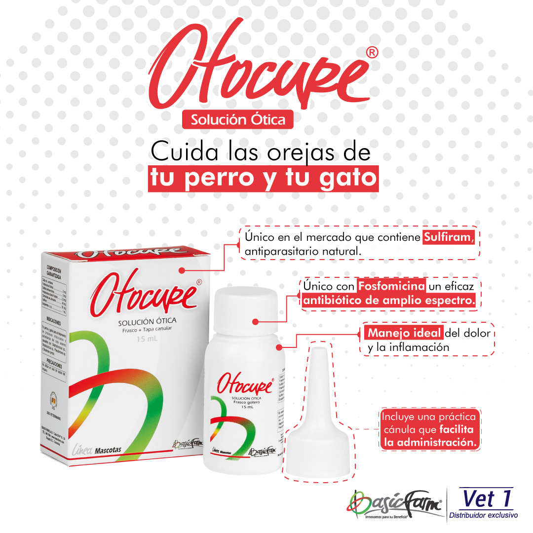 Ofltamoscopios y otoscopios de primer nivel para el diagnóstico ...